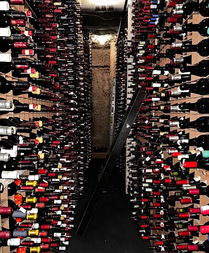 Bern's wine cellar stretches like a liquid library, with bottles standing at attention like soldiers guarding the world's most delicious secrets.