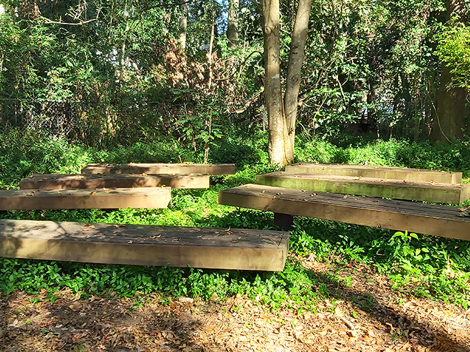 Thoughtful design: These simple wooden platforms provide perfect spots for contemplation, conversation, or just watching clouds drift by.