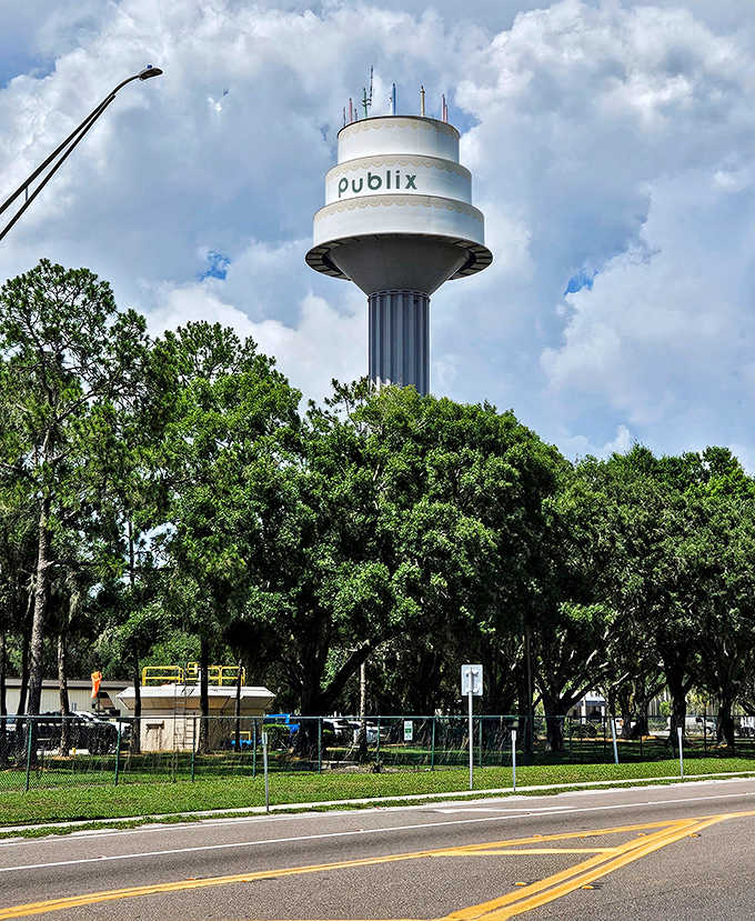 From street level, the tower appears to rise from nowhere, a surprise dessert on the Florida landscape that makes passersby do a double-take.