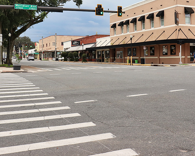 Dade City's historic courthouse stands as the centerpiece of this charming small town, surrounded by walkable streets and local shops.