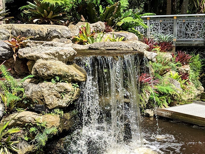 Mounts Botanical Garden's waterfall nestles among tropical foliage and colorful plants. This West Palm Beach oasis feels worlds away from city life.