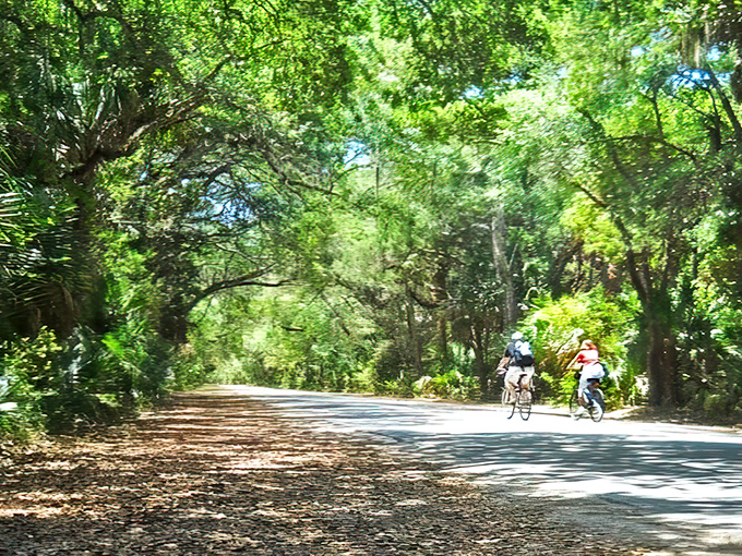The shaded pathways of Washington Oaks Gardens offer a refreshing contrast to Florida's sunny beaches, with flowering plants adding color beneath the green canopy.