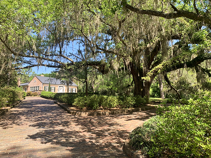 A perfectly manicured garden archway at Maclay Gardens invites visitors to step through into a world of botanical wonders, showcasing Florida's refined side.