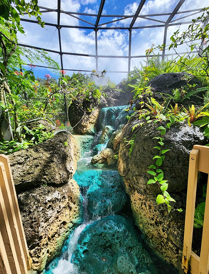 A stunning blue waterfall cascades through rocky outcroppings at Butterfly World. This peaceful oasis provides the perfect humidity for tropical butterflies to thrive.