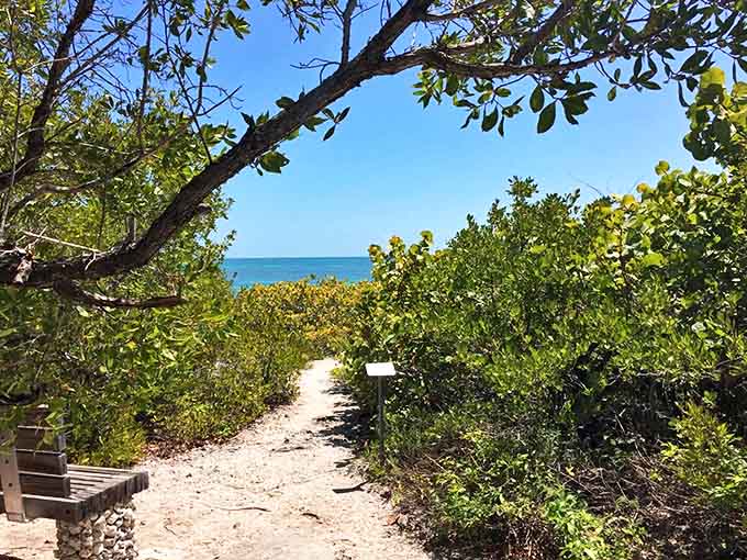 A sandy path leads through dense foliage toward the turquoise waters surrounding this historic island ghost town.