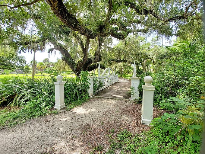 Spanish moss drapes the trees around the preserved Koreshan settlement, where utopian dreamers built their New Jerusalem based on some truly unusual cosmic theories.