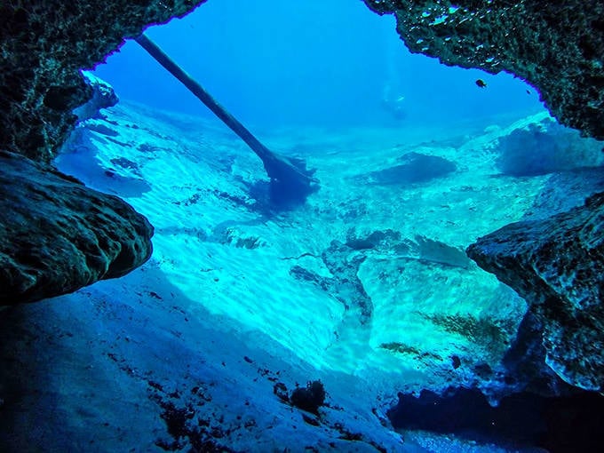 Morrison Springs' brilliant blue waters create an underwater landscape that seems almost alien, with sunlight penetrating deep into the limestone caverns.