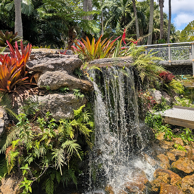 Another view of Mounts Garden shows water cascading over multiple levels. The tropical plants create a living frame for this refreshing water feature.