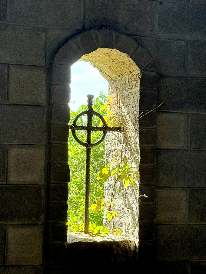 Gothic arch framing greenery in a way that makes you wonder if Ireland and Florida secretly signed some sort of architectural exchange program.