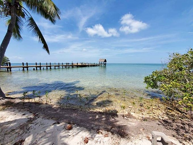 Dock of dreams—where turquoise waters meet wooden planks, creating the perfect Florida Keys postcard moment.