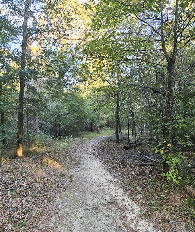Following the heritage trail feels like walking through a living postcard of Old Florida, untouched by time.