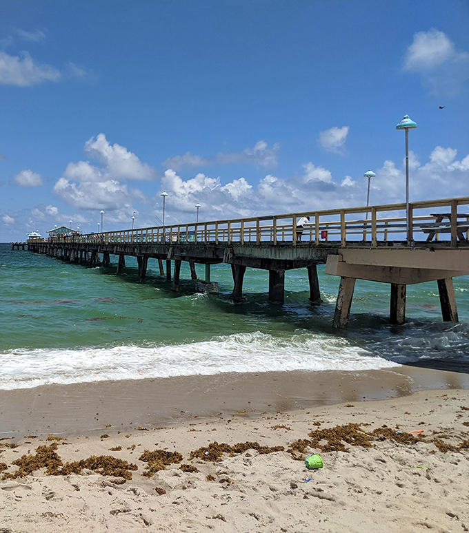 The town's iconic fishing pier stretches toward the horizon, inviting visitors to venture just a little further into the Atlantic's embrace.