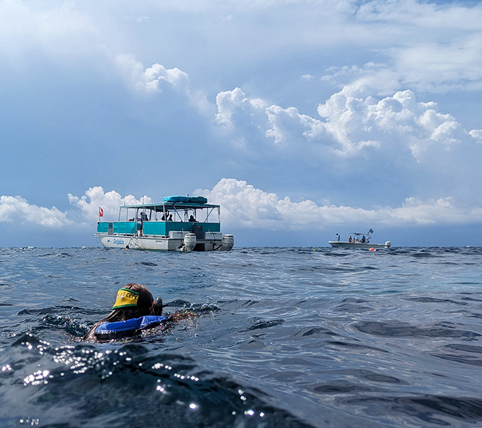 Snorkelers float at the surface while divers explore below &ndash; this underwater attraction welcomes visitors of all experience levels.