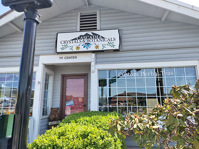 Cascadia Crystals and Botanicals offers a fragrant journey through alternative wellness, with herbs and crystals that appeal to curious seekers.