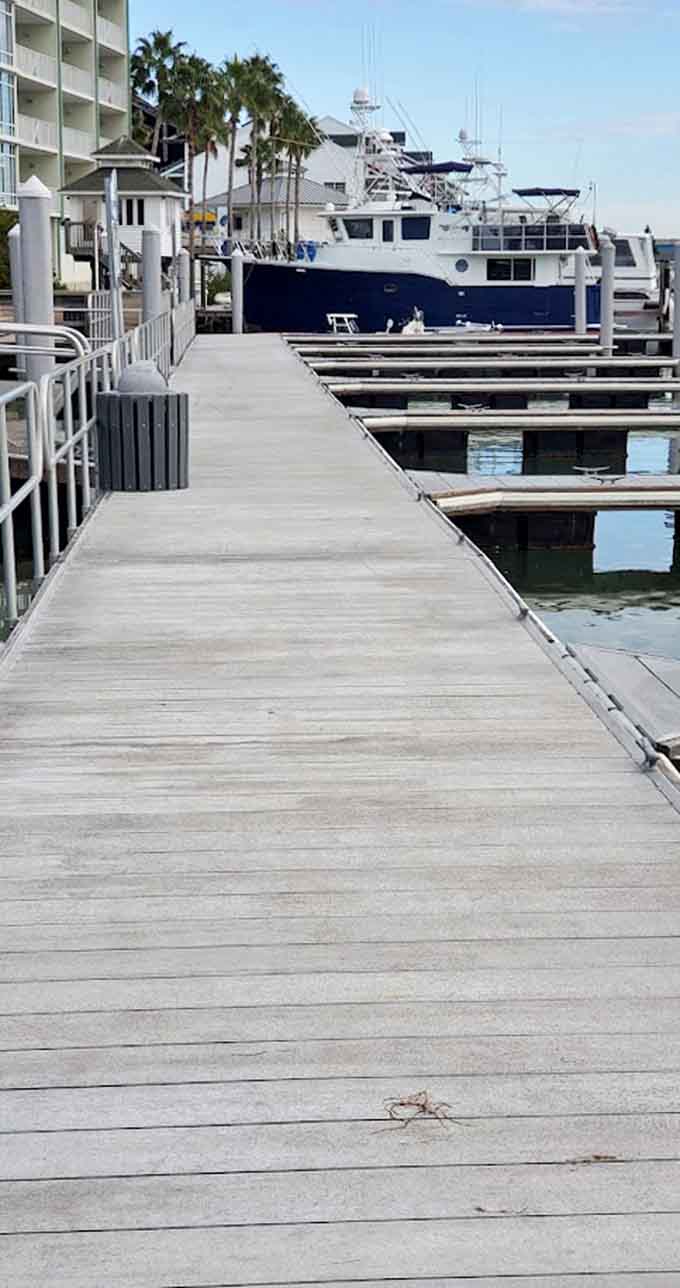 The boardwalk stretches along the waterfront, offering front-row seats to the maritime parade of boats, birds, and occasional marine life.