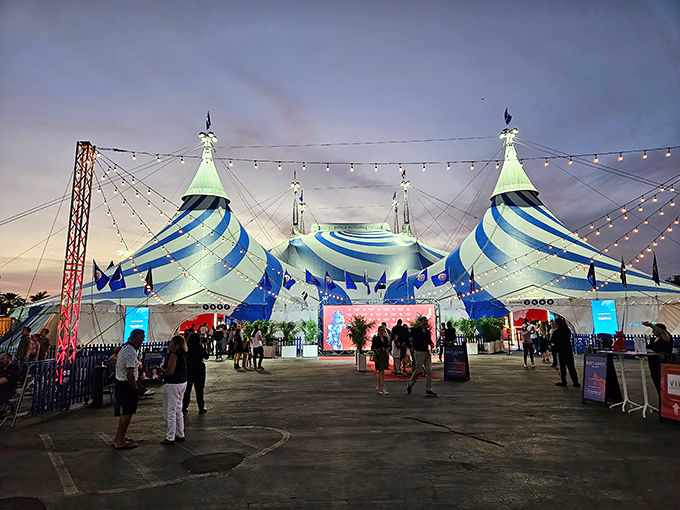 Circus: The big top adds another layer of entertainment to this already spectacular venue. Because one form of wonder deserves another!