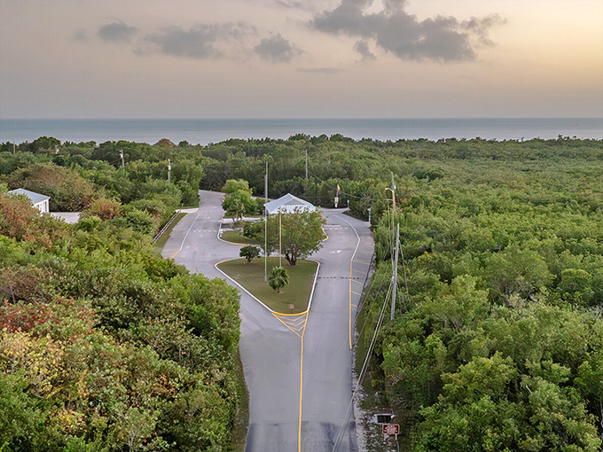Curry Hammock State Park's winding roads cut through dense mangrove forests, leading adventurers to secluded natural treasures away from the crowds.