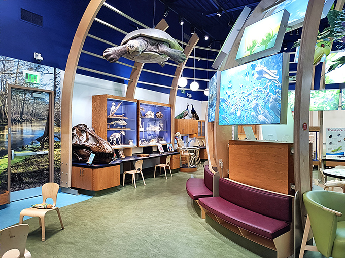 The Discovery Zone invites young explorers to touch, examine, and wonder &ndash; transforming "Don't touch that!" into "Have you touched this yet?"