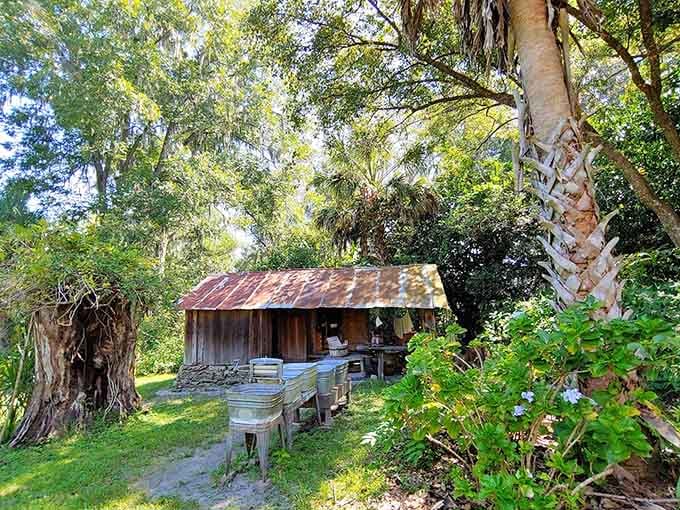 Weathered structures that have weathered actual weather, standing as testament to craftsmanship that didn't need warranties.