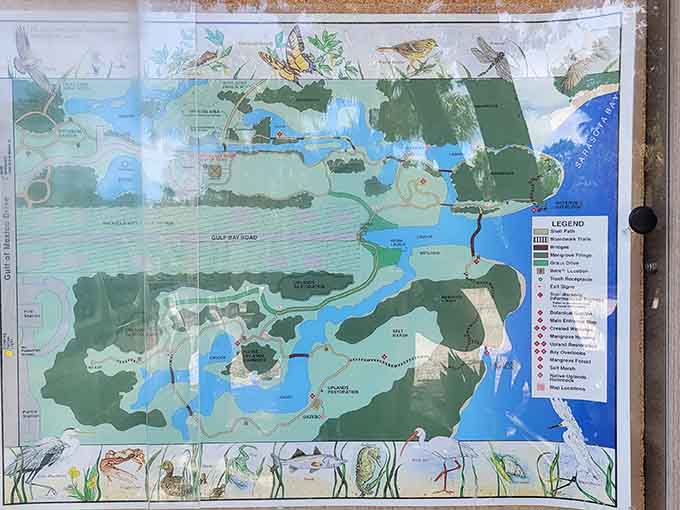 This map reveals the park's secrets, showing trails and features that turn a simple walk into a full-blown coastal adventure.
