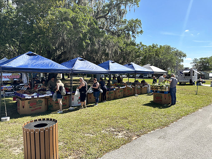 Local vendors create a colorful tapestry of fresh produce and handcrafted goods under blue tents on market day.