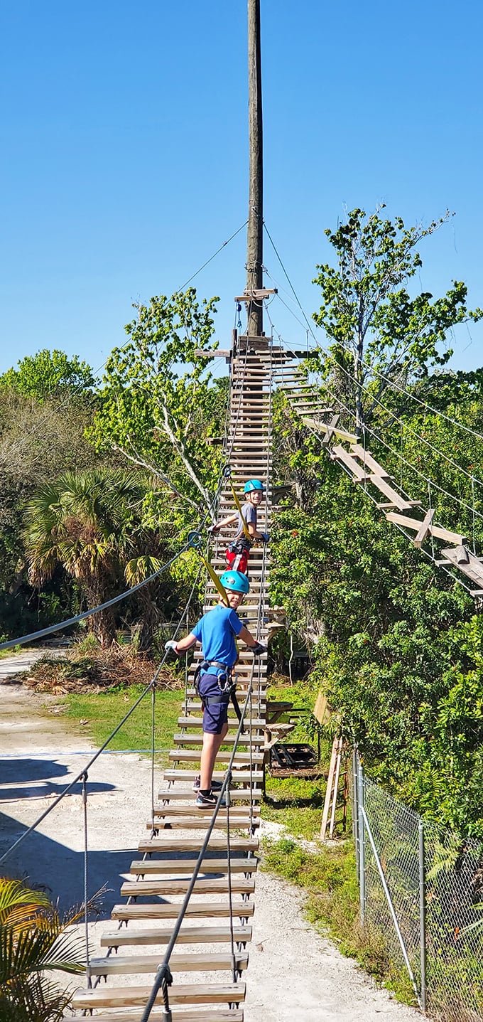 Courage in the canopy: Young adventurers tackle the suspended bridge challenge, finding their balance high above the zoo grounds.