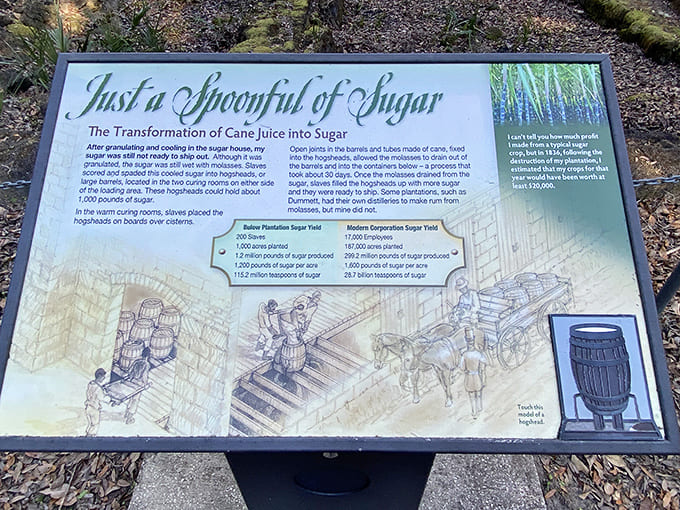 Information Board about Cane Juice to Sugar Process: From sweet sap to crystallized gold&mdash;this display reveals the labor-intensive process behind plantation sugar production.