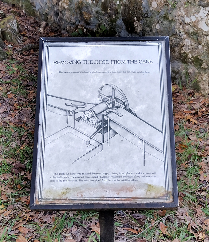 Ingenious 19th-century technology explained &ndash; how massive rollers crushed sugarcane to extract its valuable sweet juice.