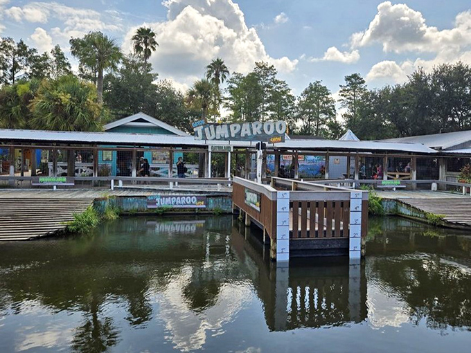 The Jumparoo area combines waterfront charm with the heart-stopping spectacle of massive reptiles launching themselves skyward for a snack.