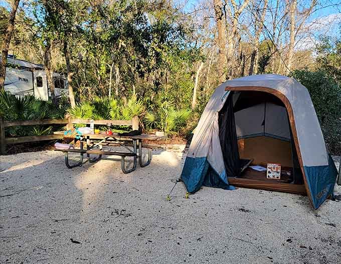 Camping spots nestle among the trees like nature's own hotel rooms, except the minibar is a cooler and the wake-up call comes from actual birds.