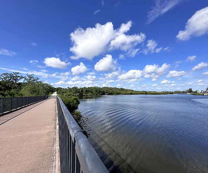 Tree-lined sections create natural tunnels that provide blessed shade when the Florida sun is being particularly enthusiastic about its job.