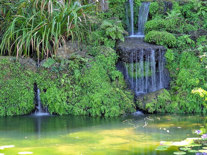 Water cascades over moss-covered rocks, creating nature's own meditation soundtrack as it tumbles into the serene lily pond below.