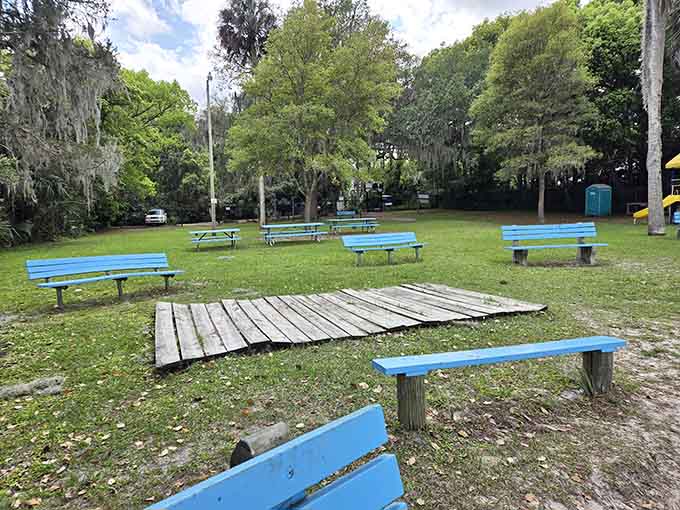 These weathered benches have supported countless contemplative moments, proving that the best therapy sometimes comes with a waterfront view.