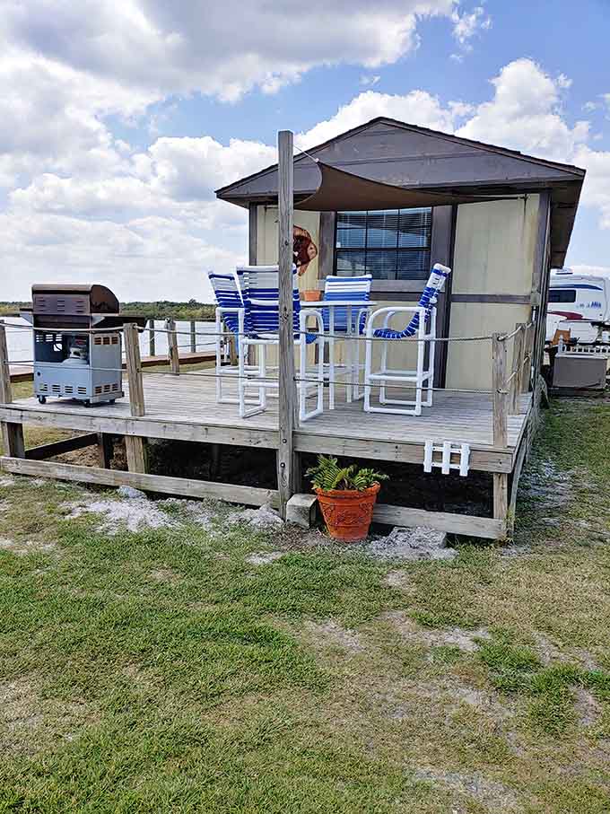 Waterfront cabins offer cozy retreats where you can enjoy your morning coffee while watching dolphins swim past your deck.