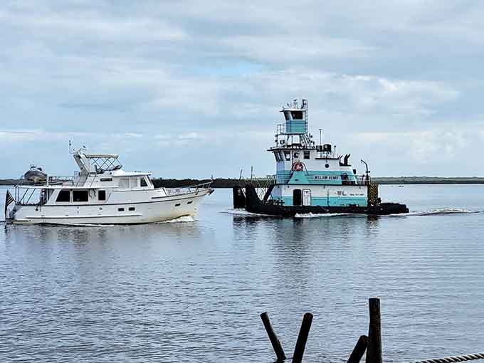 The working waterfront here reminds you that Mosquito Lagoon isn't just a tourist attraction, it's a living, breathing ecosystem that supports real communities.