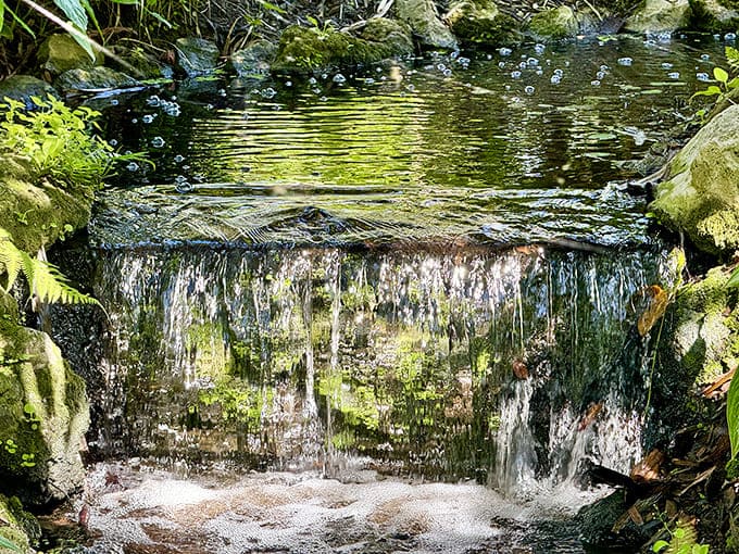 Man-made waterfalls create soothing soundscapes throughout the property, providing natural white noise that's infinitely better than any meditation app.