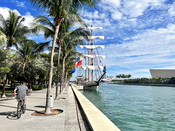 The museum's waterfront promenade offers a peaceful path where art lovers and sailors share the same magnificent view of Biscayne Bay.