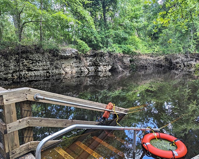 Orange Grove Sink's entrance offers a portal between worlds &ndash; the familiar forest above and mysterious aquatic realm below.