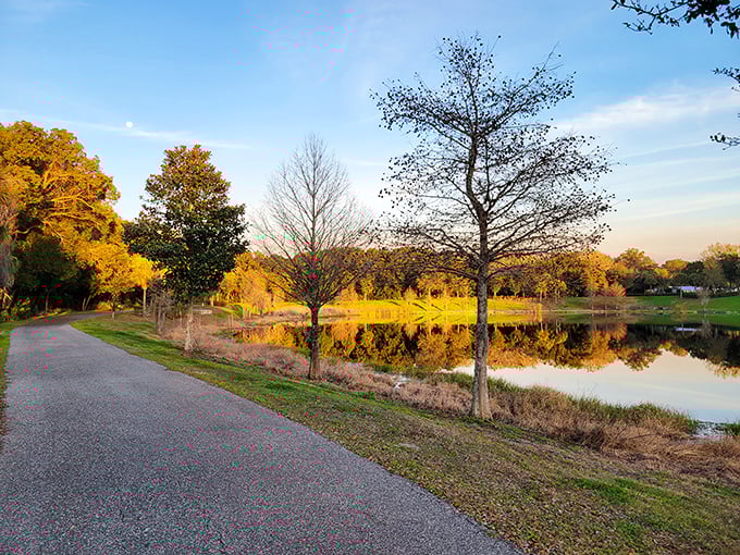 Palmetto Point Park's walking trails offer sunset reflections that beat any filter Instagram could dream up.