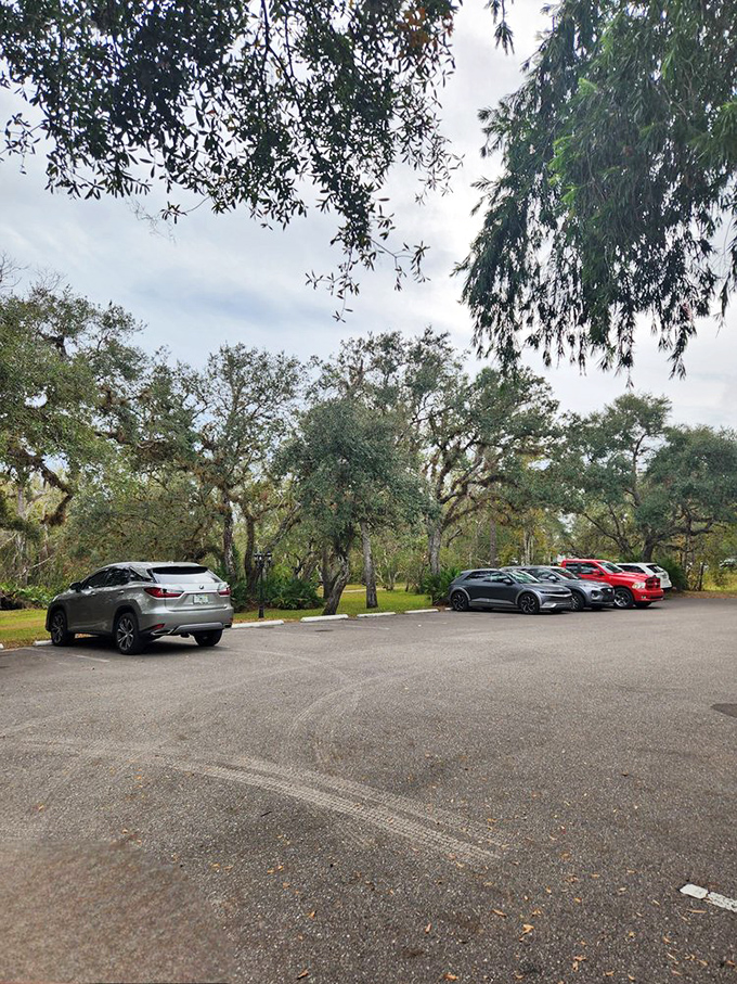 Parking lot reality meets fantasy kingdom &ndash; where else can your sedan feel like it's dropping you off for a royal audience?