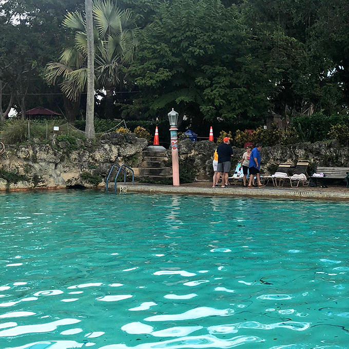 Visitors gather poolside to soak up both sun and history, enjoying an attraction that has delighted generations of Floridians and tourists alike.