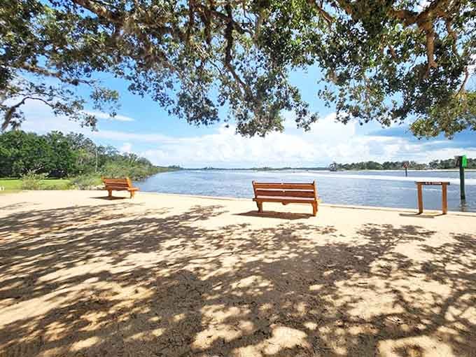 Riverside respite: These benches offer the perfect spot to contemplate life's big questions or simply watch for passing dolphins.