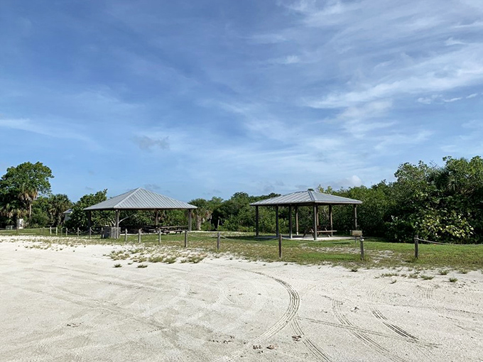Picnic pavilions that beat any five-star restaurant view &ndash; where lunch comes with a side of spectacular Gulf Coast scenery.