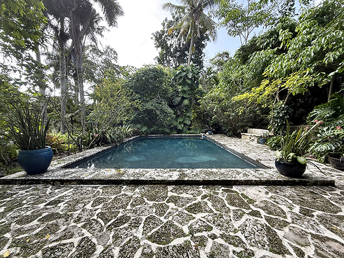 The serene pool reflects surrounding palms, offering a mirror-world glimpse of tropical perfection and tranquil escape.