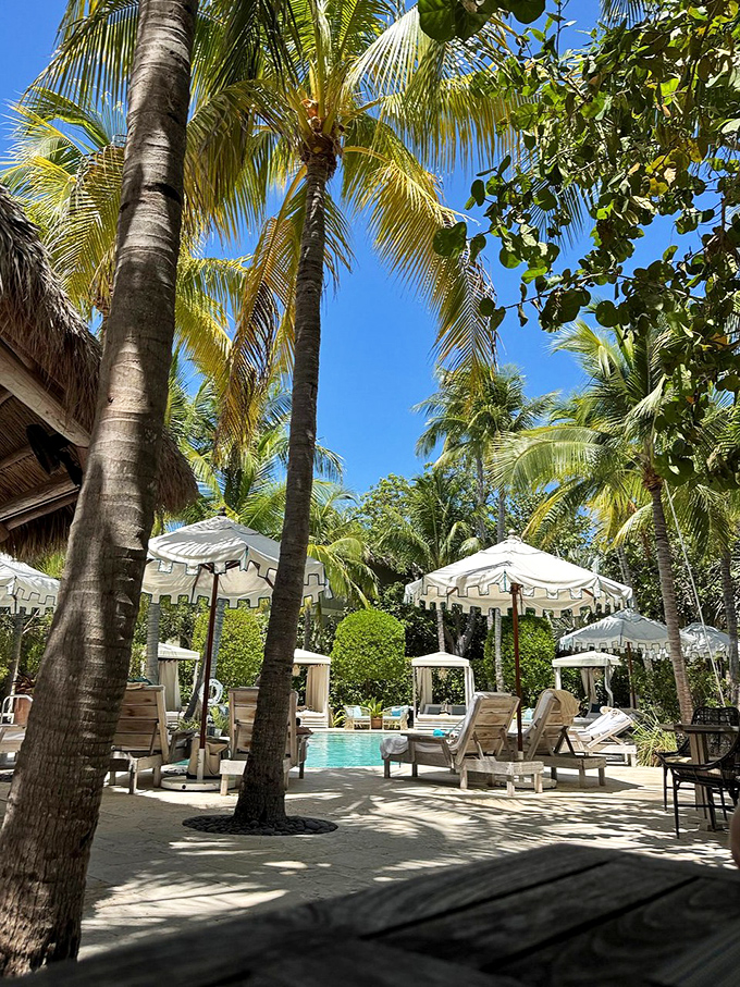 The resort's pool area surrounded by palm trees and elegant loungers &ndash; where "doing nothing" becomes an art form.