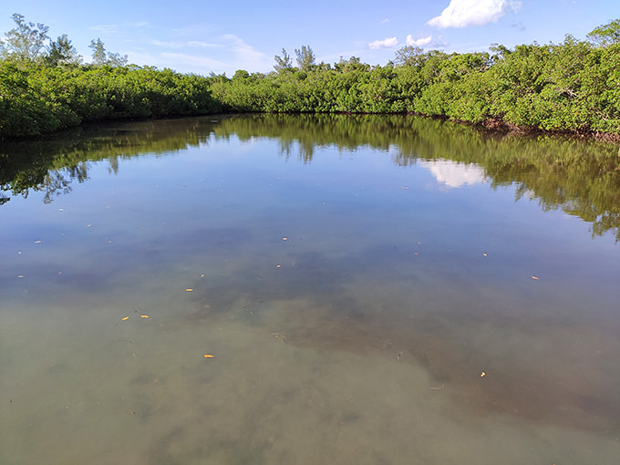 This tranquil lagoon serves as a nursery for marine life and a reminder that nature's got this whole thing figured out.
