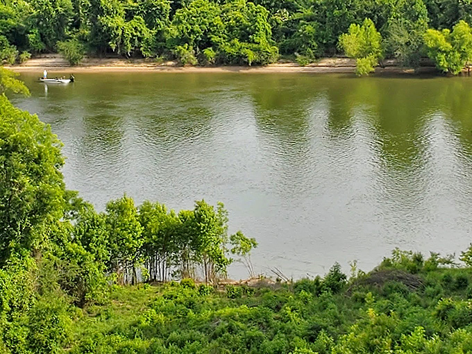 This downward view of the river makes you realize why early explorers fell in love with this wild, untamed Florida landscape.