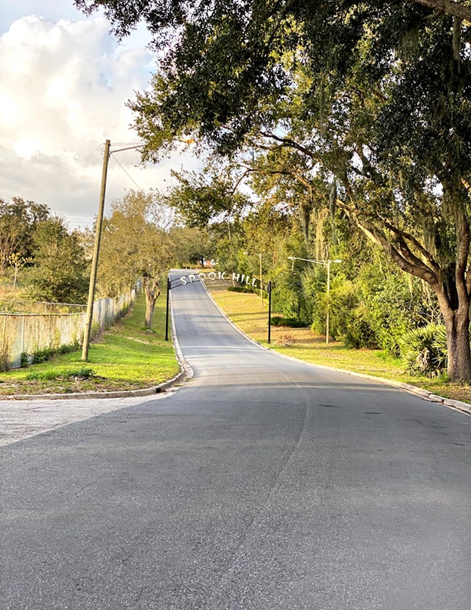The simple metal archway has become an iconic photo spot for generations of visitors seeking Florida's quirkier attractions.