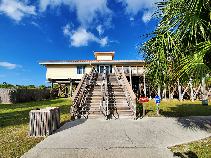The Rotary Centennial Nature Center stands as a gateway to wilderness education, where air conditioning meets adventure.