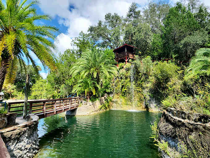 The garden's picnic pavilion blends rustic charm with practical shade &ndash; because appreciating nature works up an appetite.